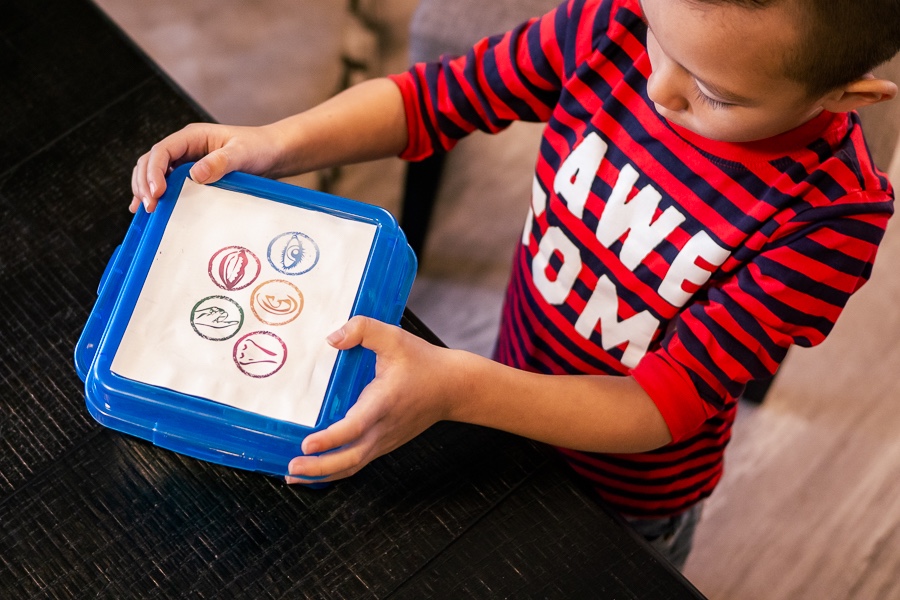 The 5 Senses Rock Kit
