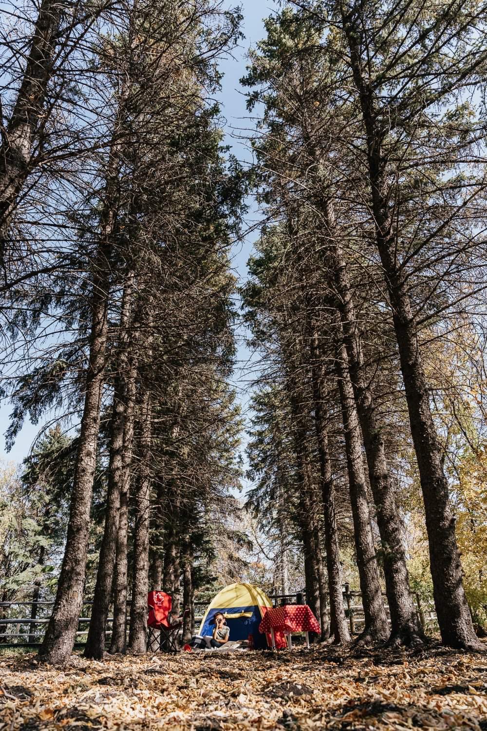 Camping Dramatic Play Kit